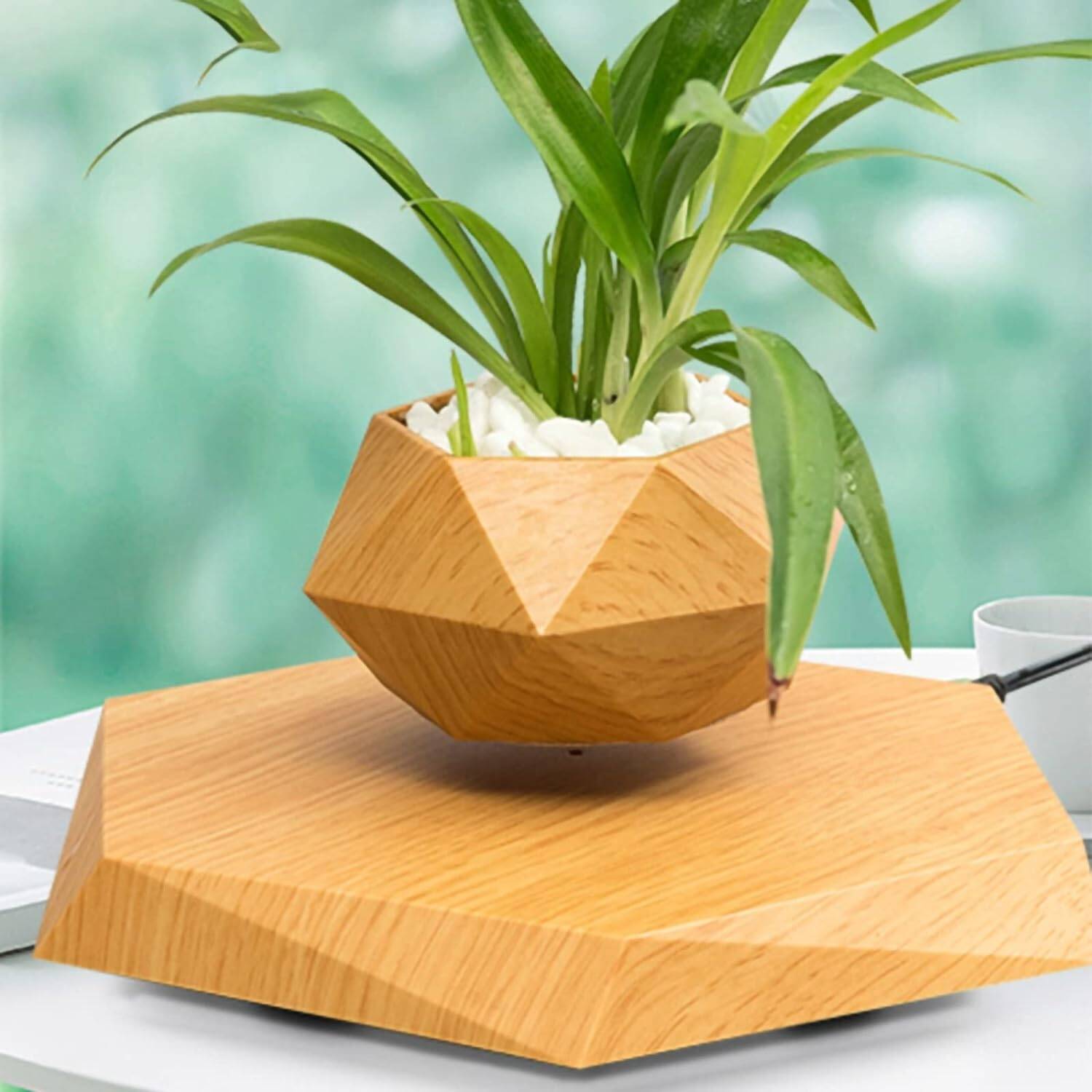 Buy Magnetic Levitating Flower Pot Negative Ion Geometry Floating ...