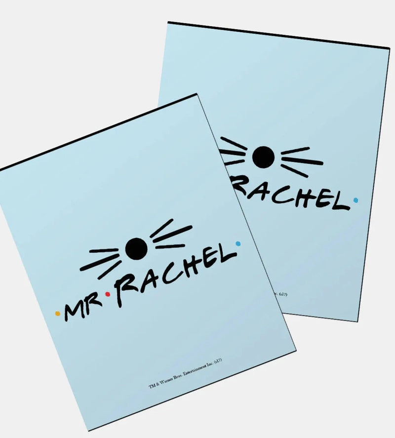 Buy Friends Mr Rachel Fridge Magnet - The Peppy Store – ThePeppyStore