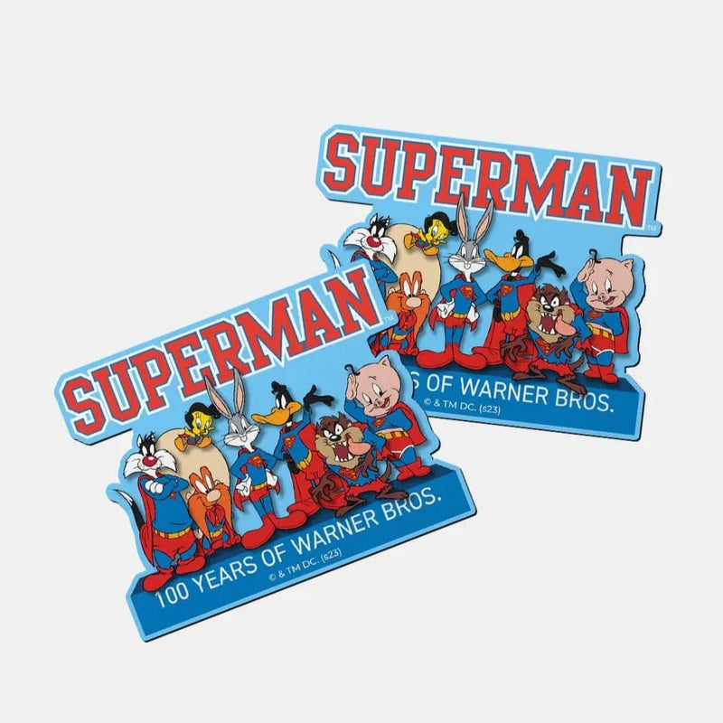 Looney x Superman Team Up - Fridge Magnet Single – ThePeppyStore