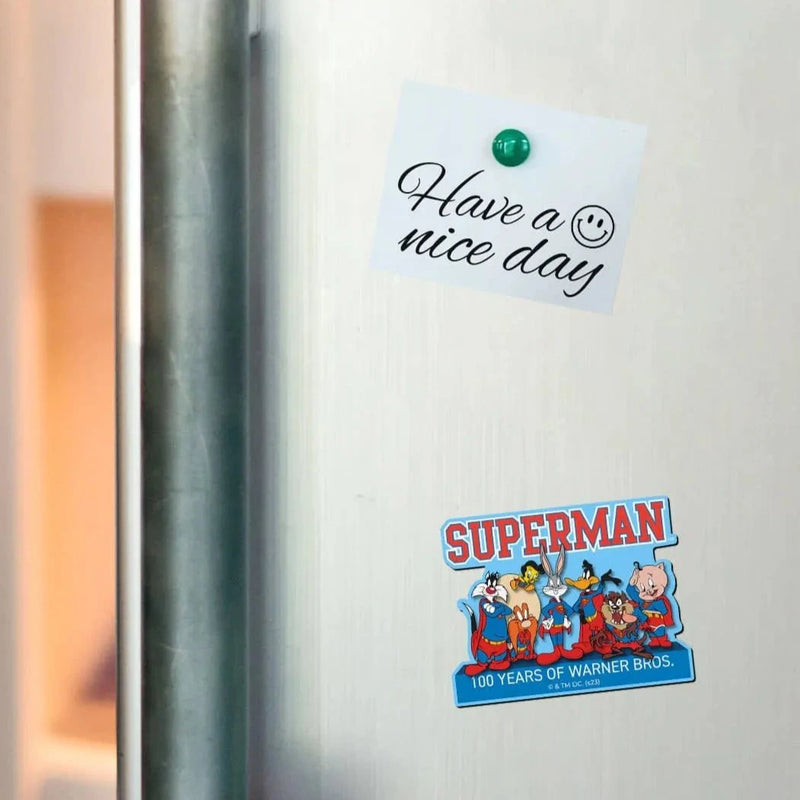 Looney x Superman Team Up - Fridge Magnet Single – ThePeppyStore
